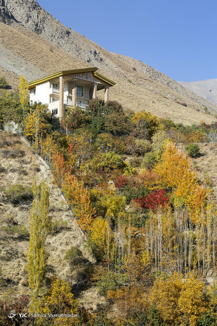 In Photos: Tehran’s Beauties In Autumn - Iran Front Page