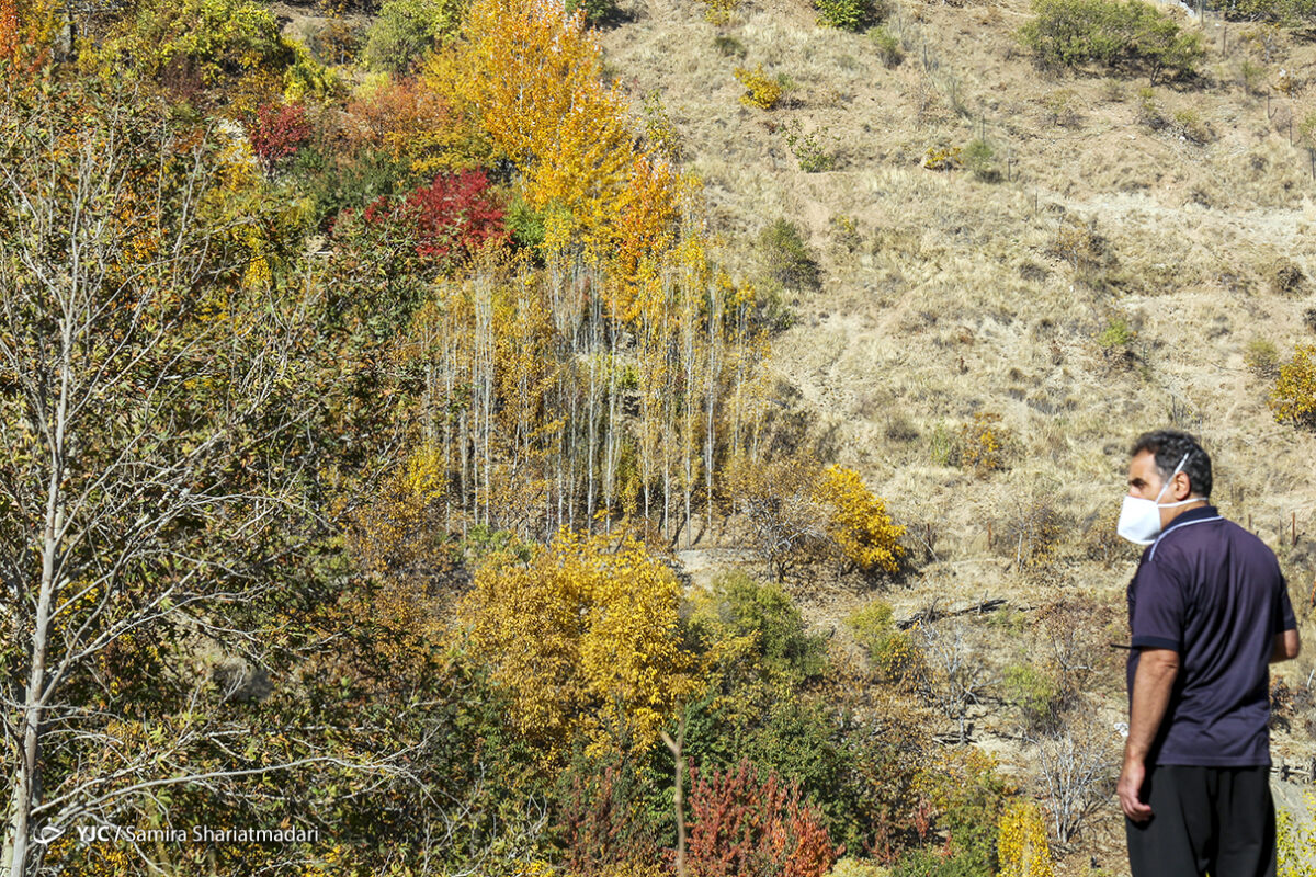 In Photos: Tehran’s Beauties In Autumn - Iran Front Page