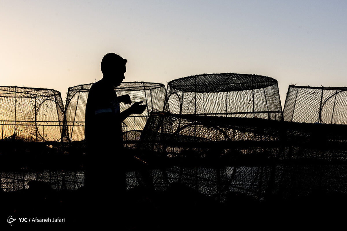 Gargoor: A Basket Fish Trap Made In Southern Iran - Iran Front Page