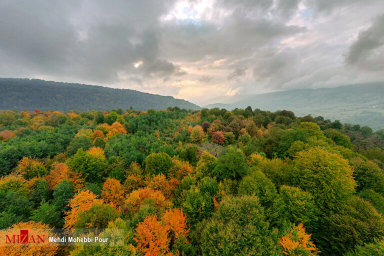 Iran's Nature In Photos: Autumn In Mazandaran - Iran Front Page