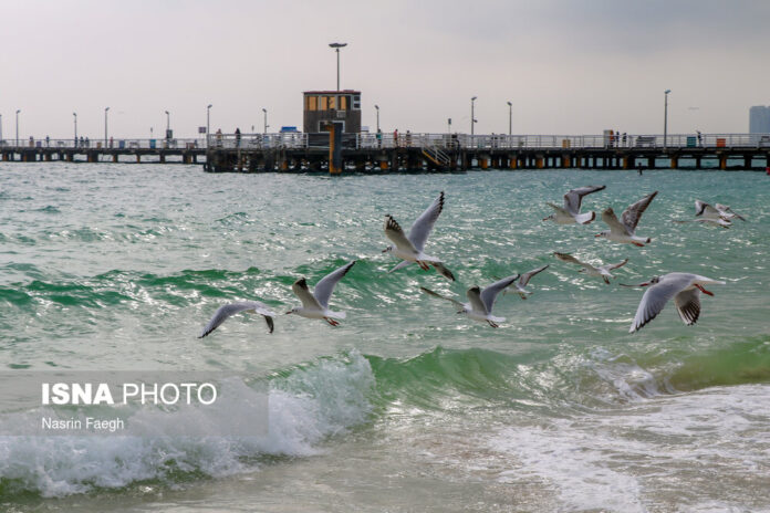 Iran’s Kish Island: A Unique Tourist Wonder - Iran Front Page