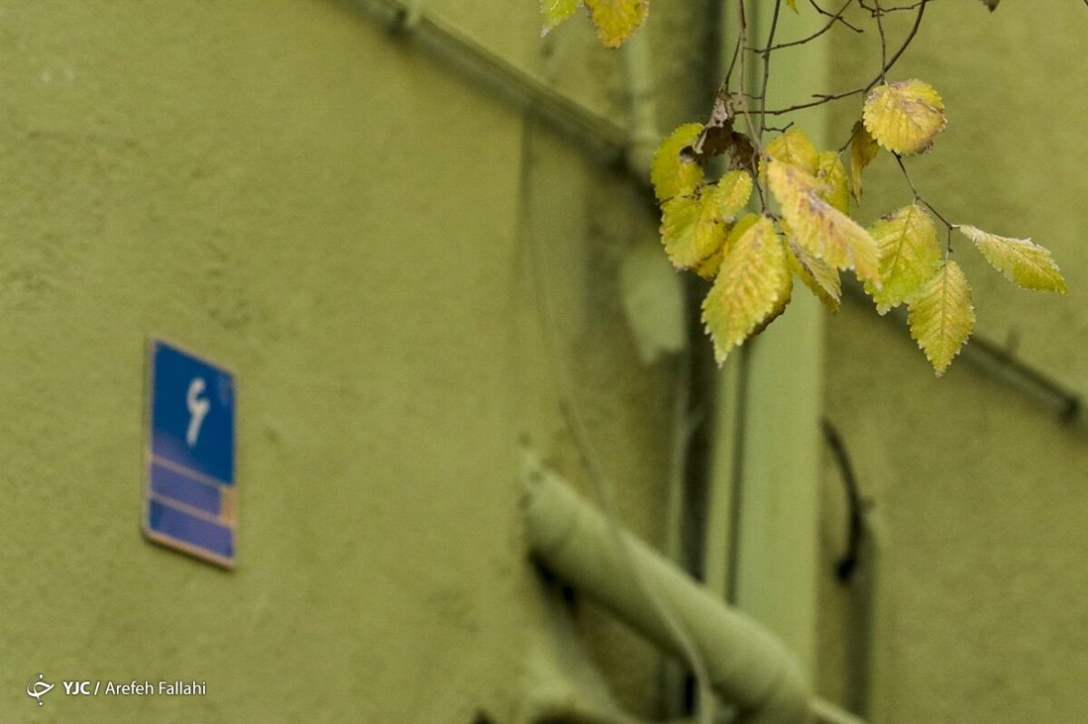 Tehran's Old Alleys Get New 'Colourful' Life - Iran Front Page