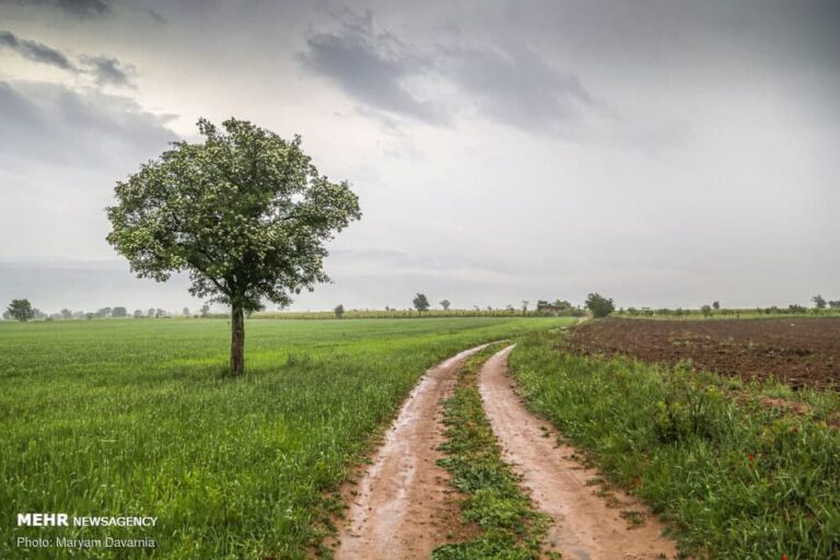 Beauty Of Spring In Iran's North Khorasan - Iran Front Page