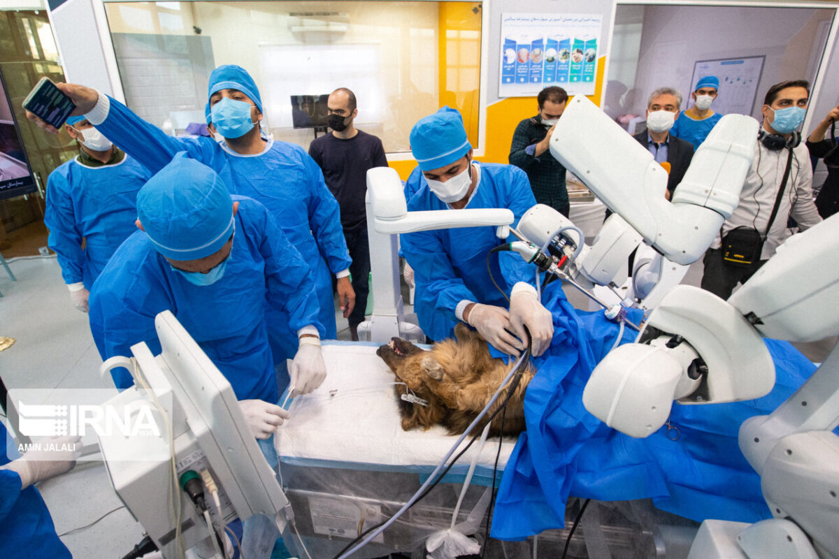 Iran Successfully Performs First Remote Robotic Surgery On Dog - Iran ...