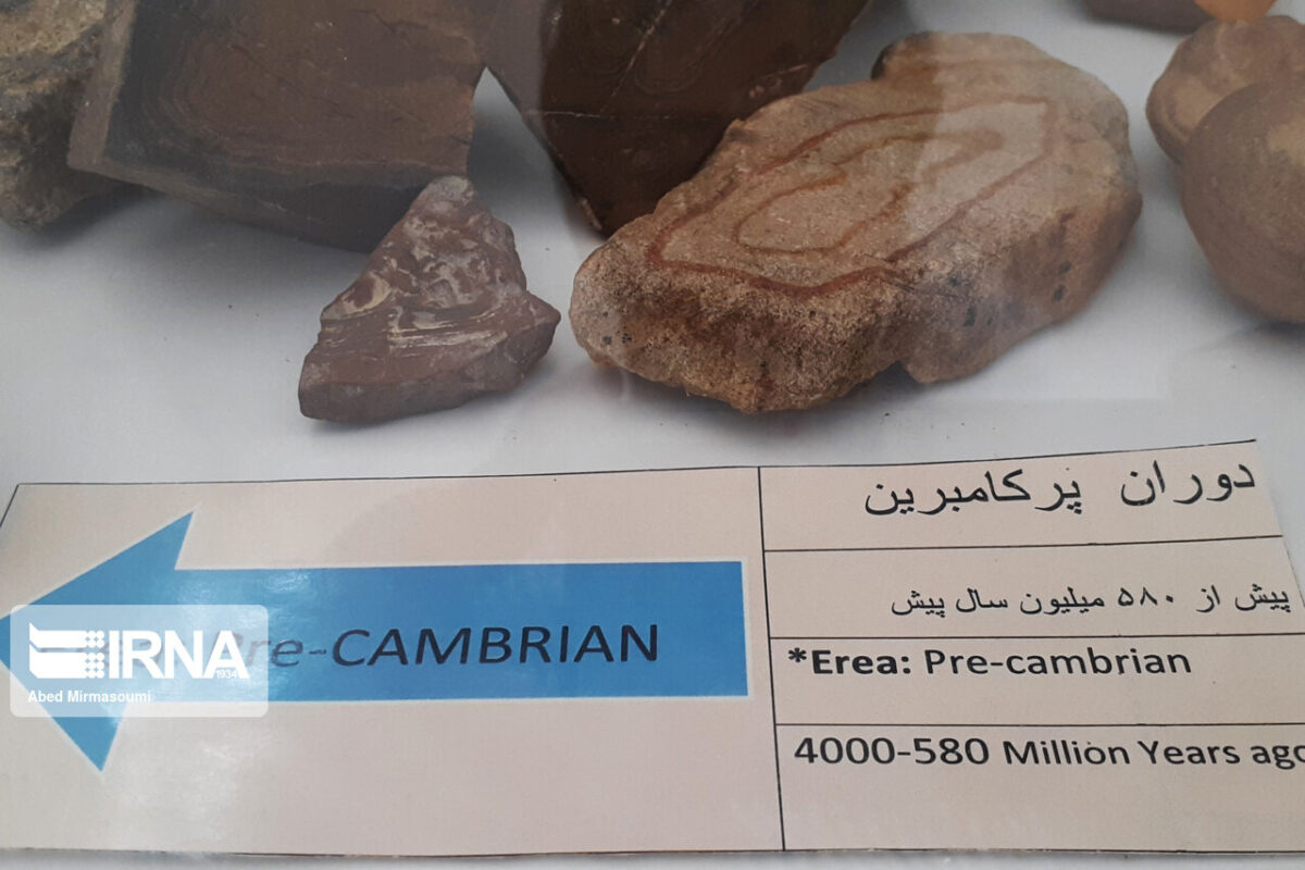 Sangsar Museum Of Rocks & Fossils; Unique Attraction In Central Iran ...