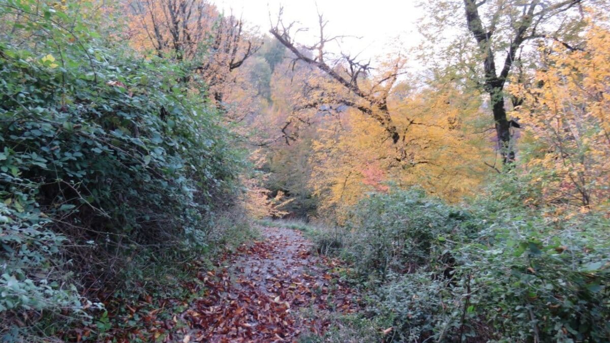 Marzban 1000-year-old Village In Northern Iran - Iran Front Page
