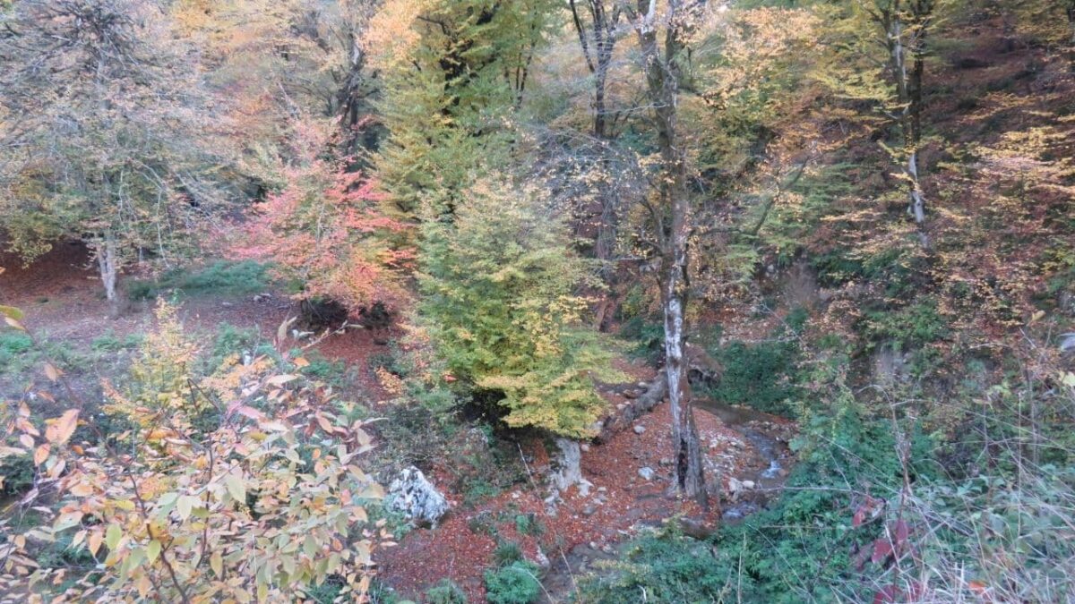 Marzban 1000-year-old Village In Northern Iran - Iran Front Page
