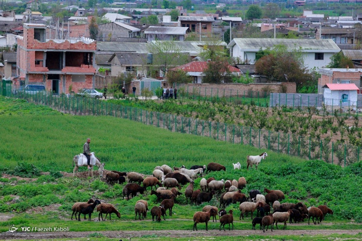 Pics: Iran Villagers Begin Spring House Cleaning Before Nowruz - Iran ...
