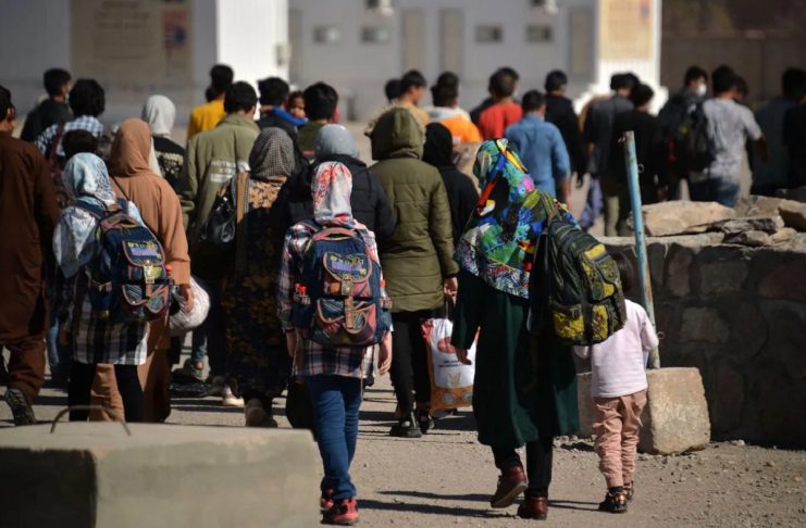 UNHCR Official: Iran Providing Afghan Refugees With All Facilities ...