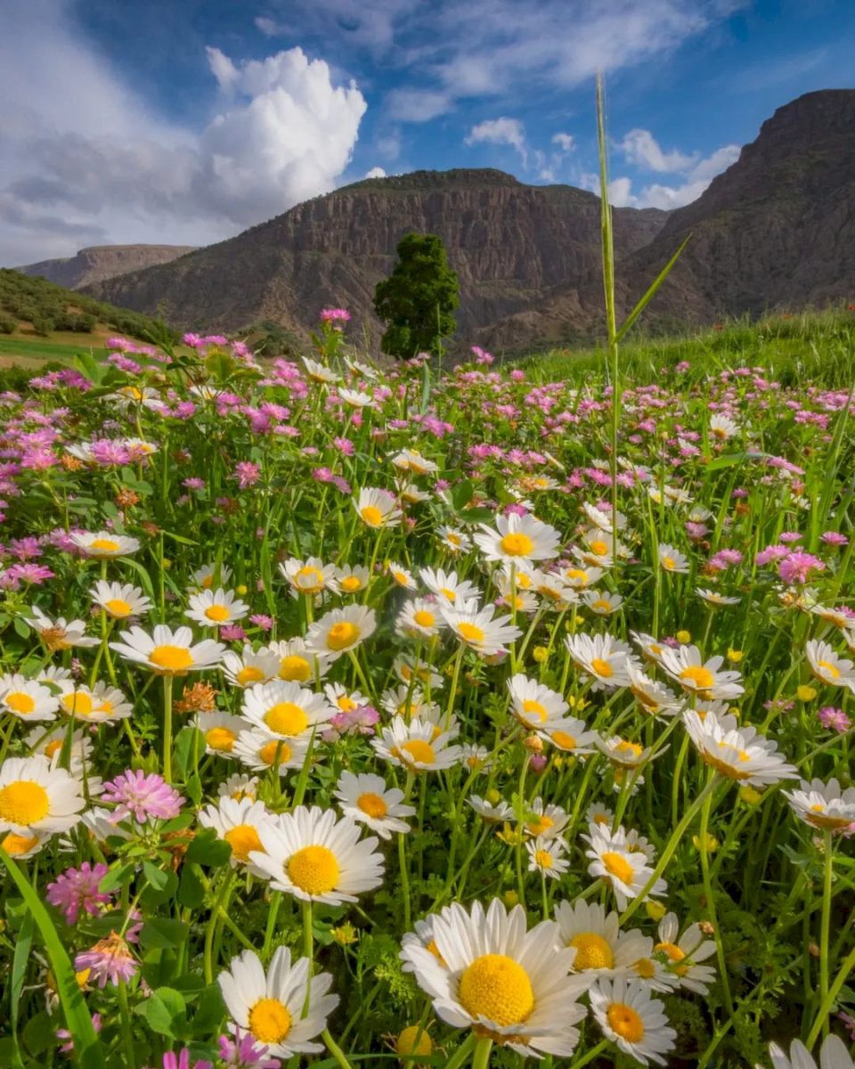 Nature Of Lorestan | Lorestan's Nature - Iran Front Page