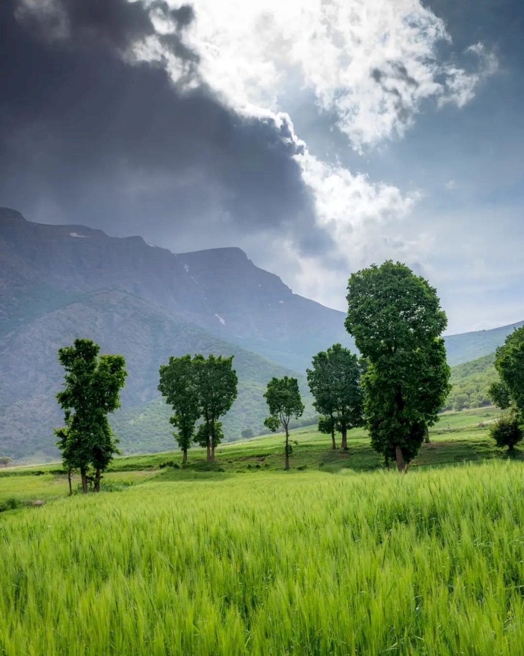 Nature Of Lorestan | Lorestan's Nature - Iran Front Page