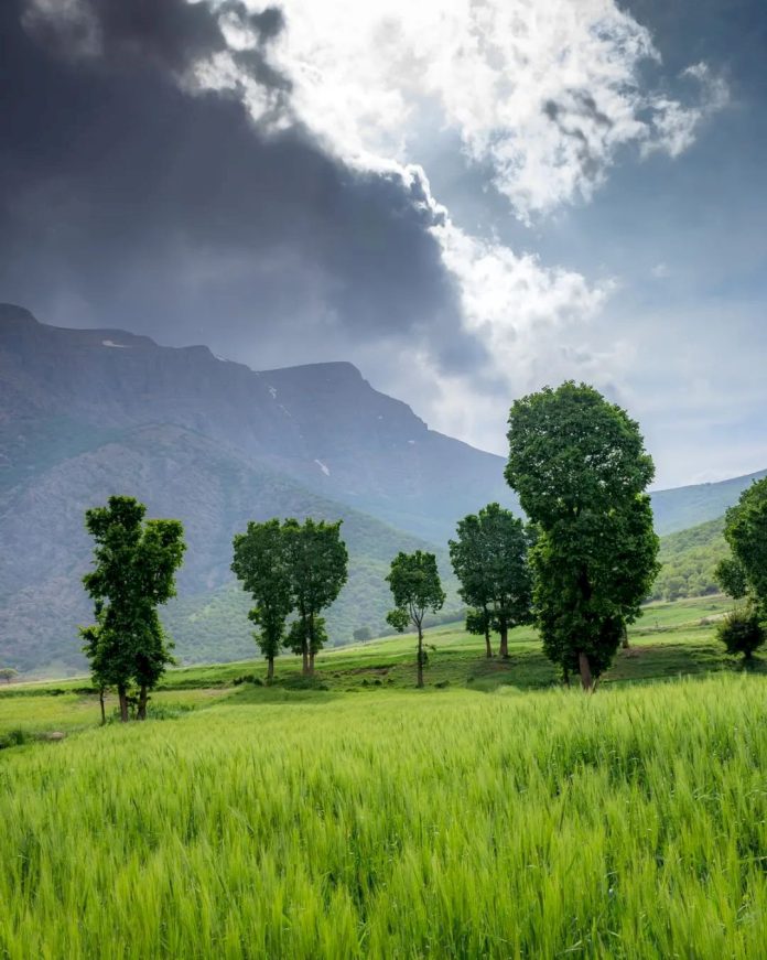 Nature Of Lorestan | Lorestan's Nature - Iran Front Page