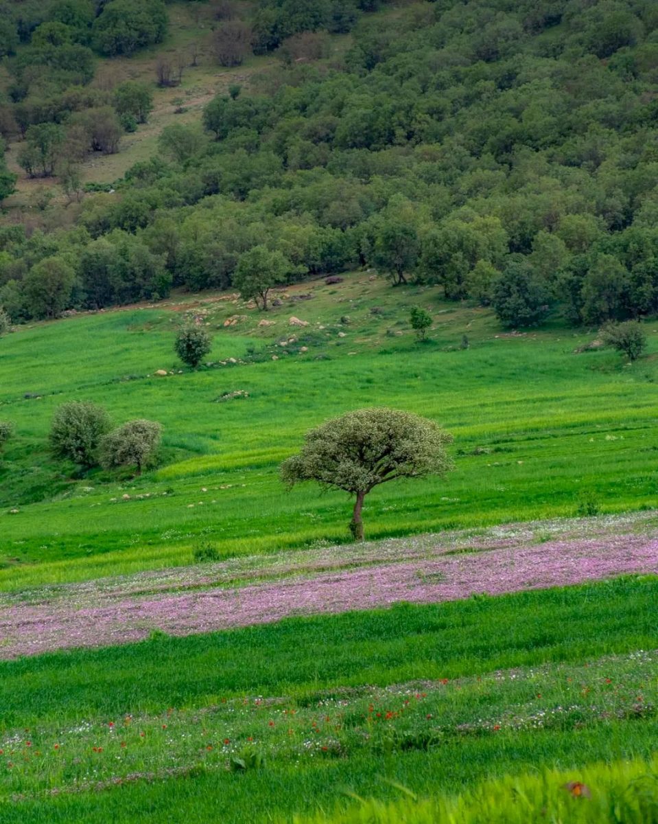 Nature Of Lorestan | Lorestan's Nature - Iran Front Page