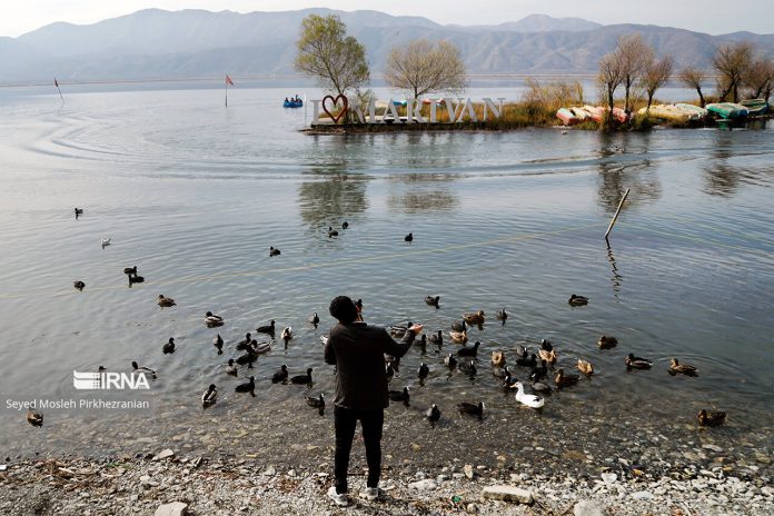 Iran Nature And Tourism: Zrebar Lake Birds - Iran Front Page
