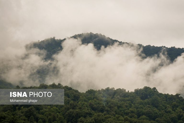 Picturesque Foggy Forests In Northern Iran - Iran Front Page