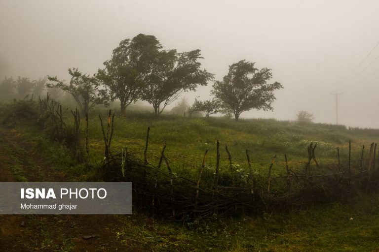 Picturesque Foggy Forests In Northern Iran - Iran Front Page