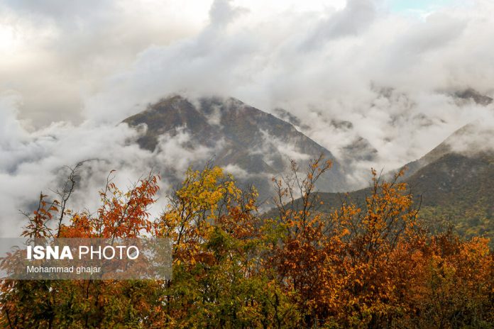 Picturesque Foggy Forests In Northern Iran - Iran Front Page