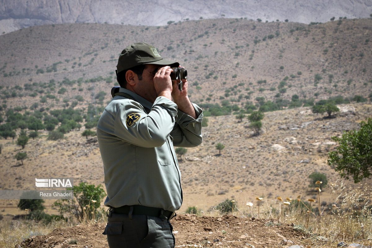 A Site For Breeding Yellow Deer In South-central Iran - Iran Front Page