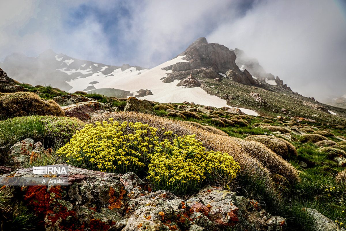 Iran Tourism: Cold In Summer - Iran Front Page