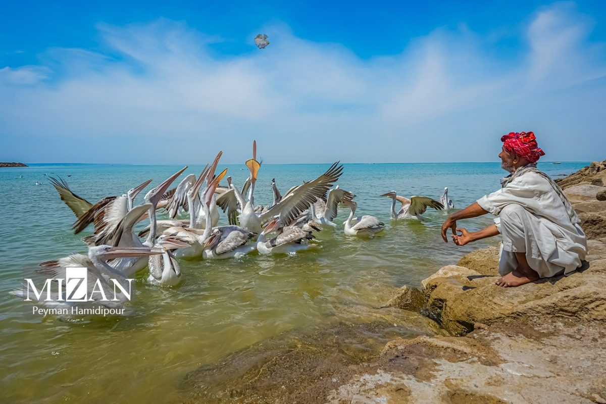 Iran Tourism: Beautiful Beach Of Pozm Bay In Sistan And Baluchestan ...