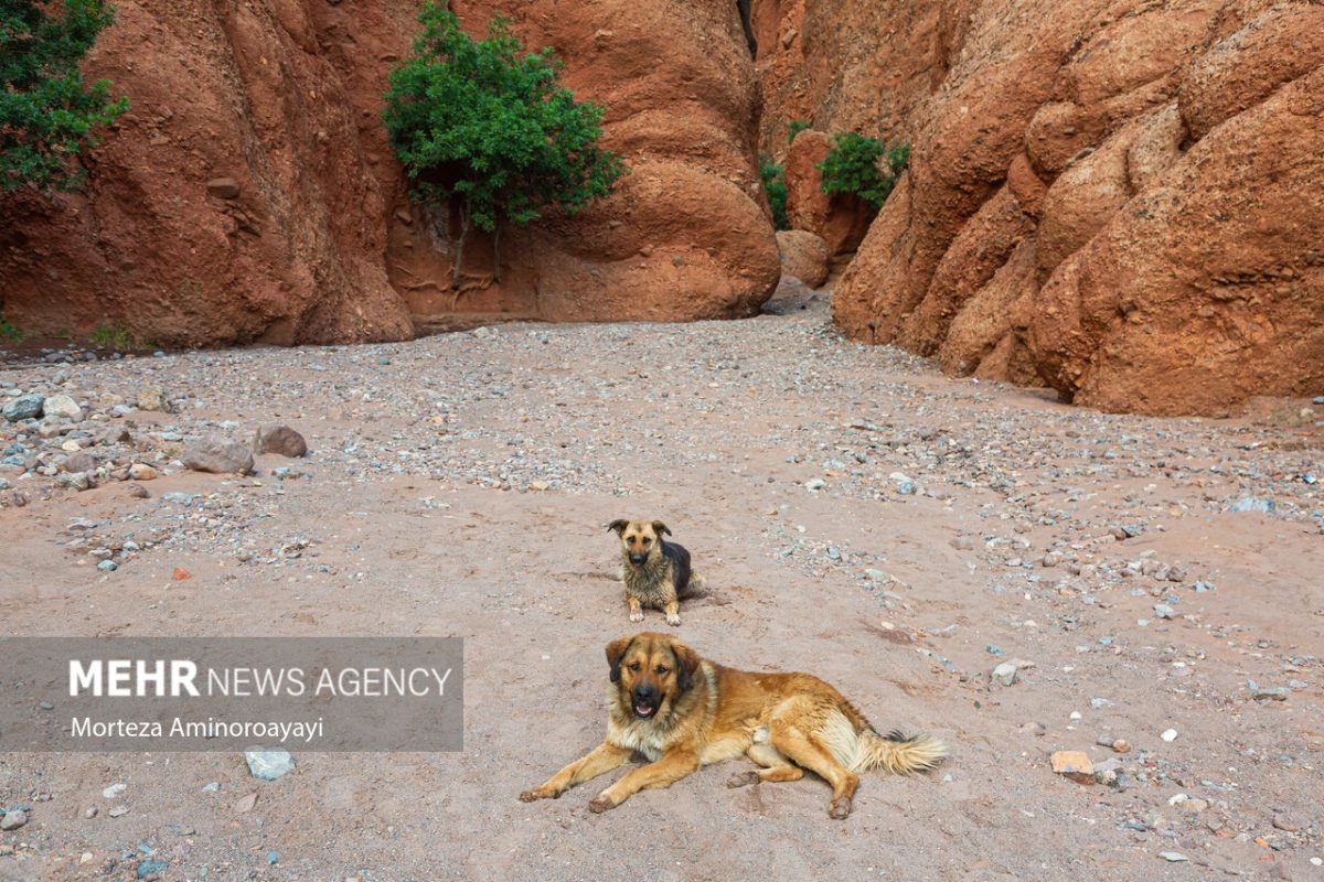 Iran Tourism: Haft Ghar In Iran’s Neyshabur, A Beauty On Earth - Iran ...